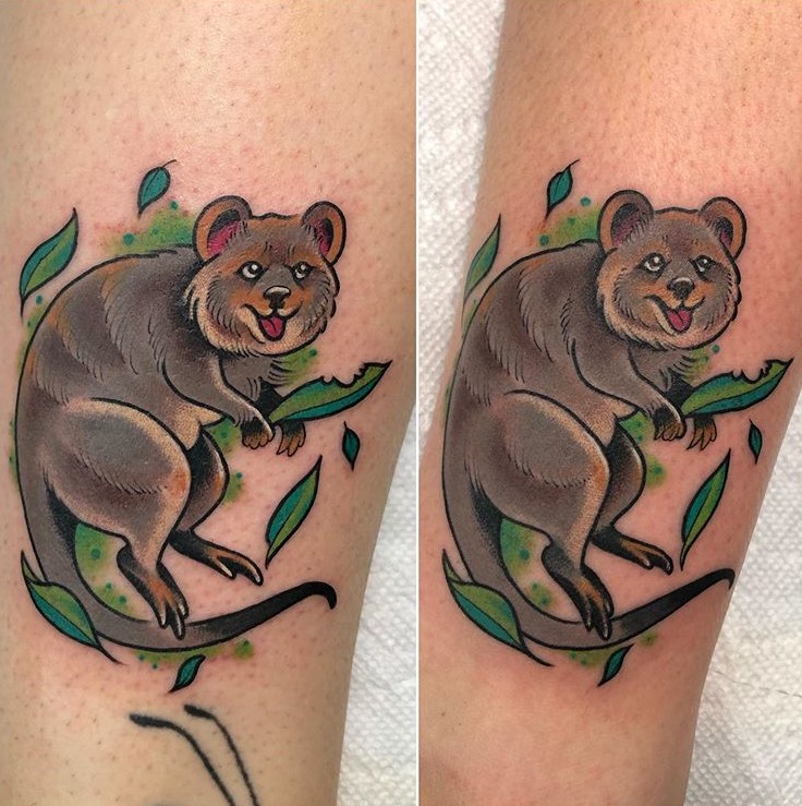 These Quokka Are the Q-test! – The Tattooed Archivist