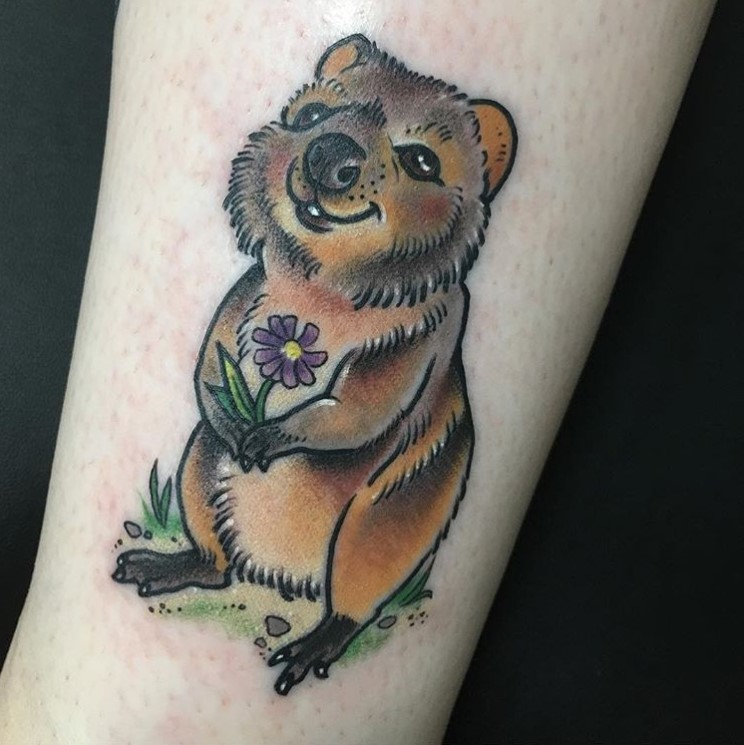These Quokka Are the Q-test! – The Tattooed Archivist