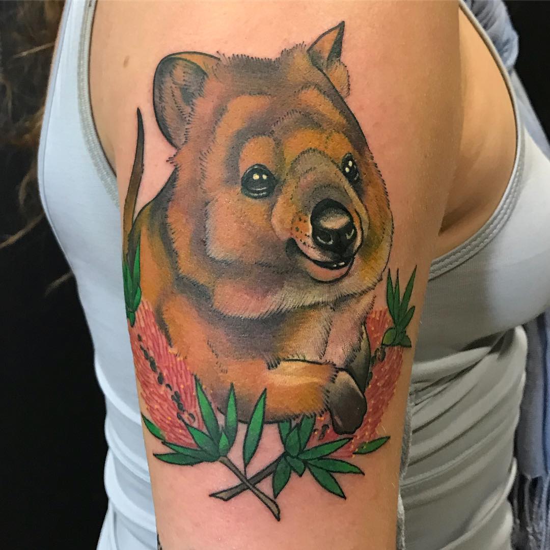 These Quokka Are the Q-test! – The Tattooed Archivist