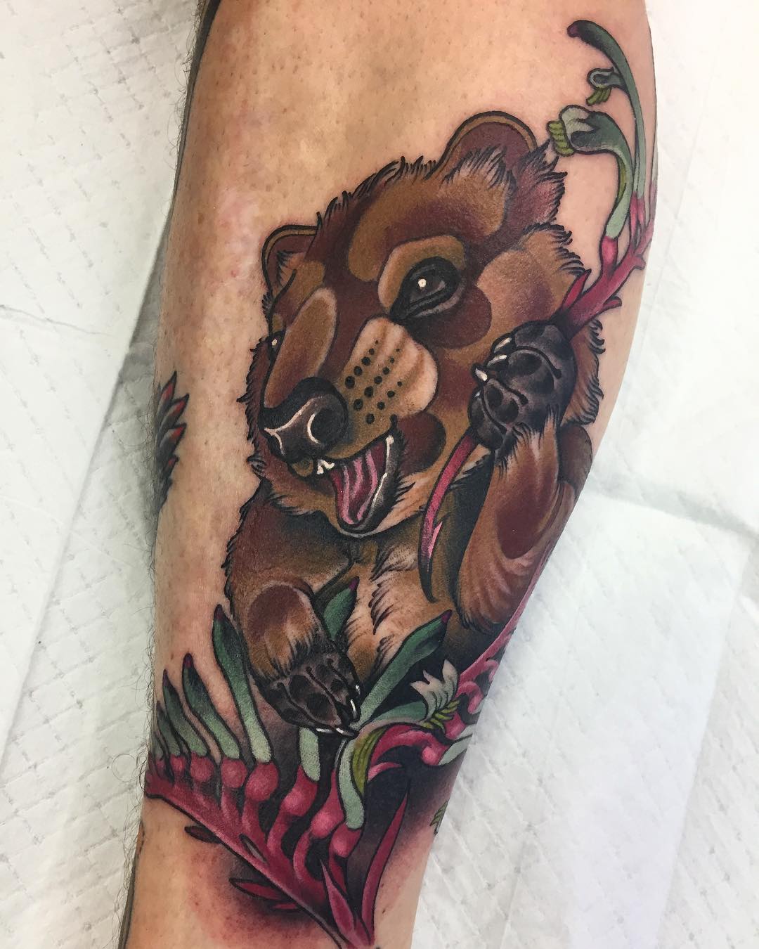 These Quokka Are the Q-test! – The Tattooed Archivist