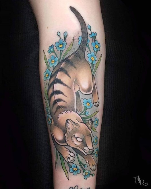 Tasmanian Tigers Are Back From Extinction – The Tattooed Archivist