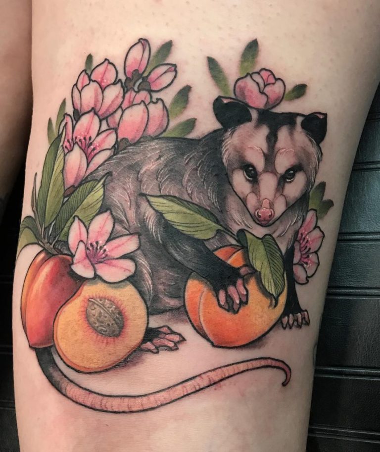 A Passel of Opossum Tattoos – The Tattooed Archivist