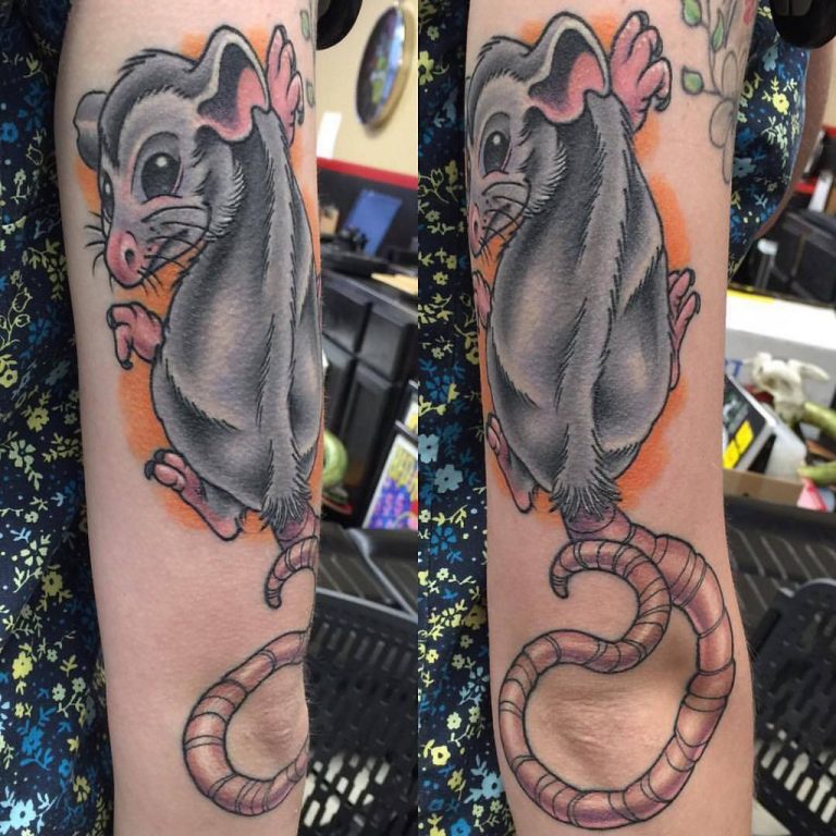 A Passel of Opossum Tattoos – The Tattooed Archivist